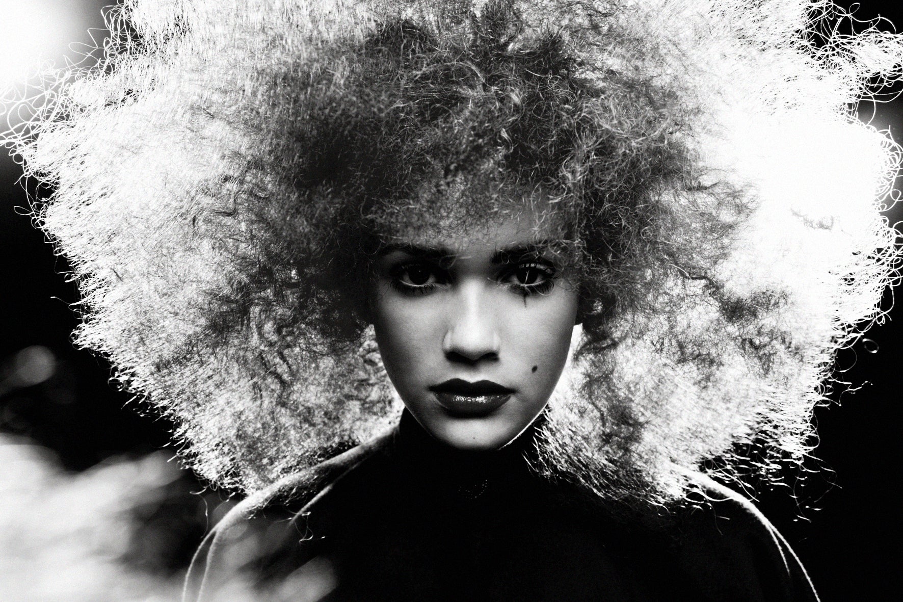 “Crossing Cultures” | Pipistrella