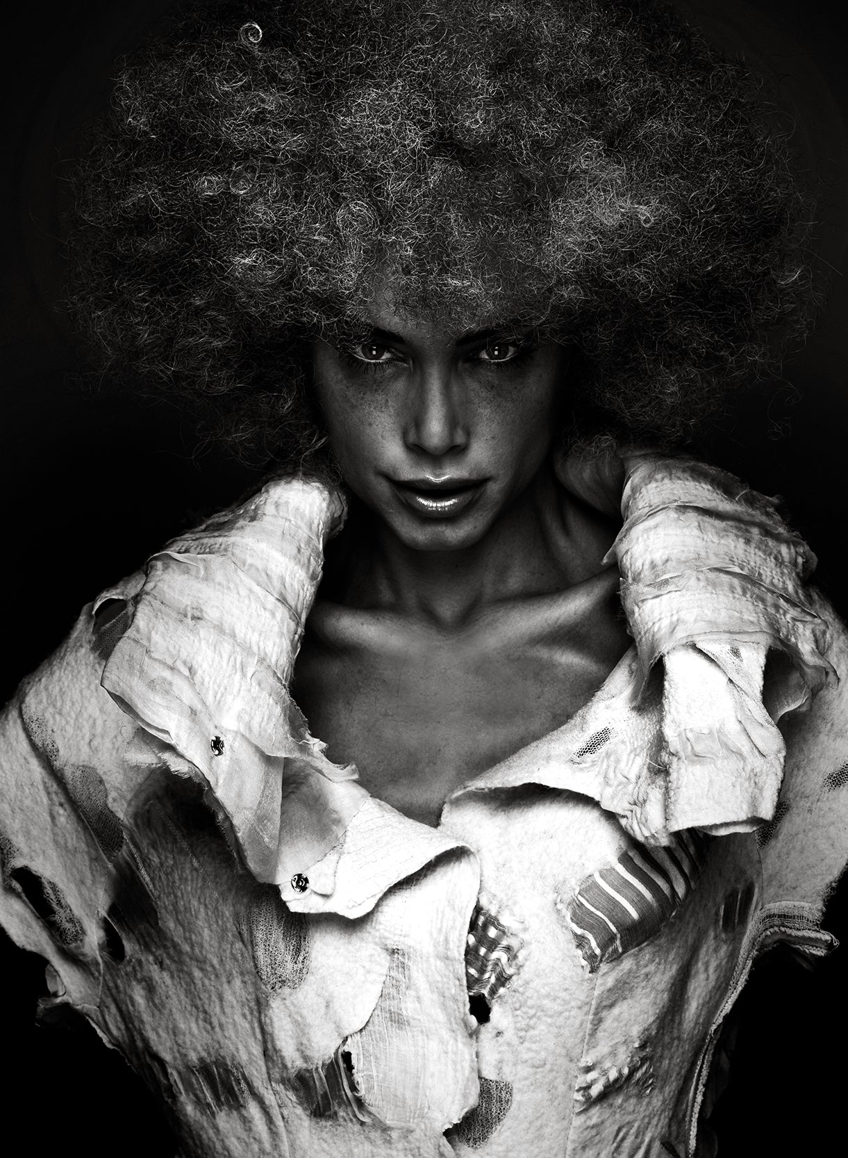 "Resilient Grace" | Pipistrella